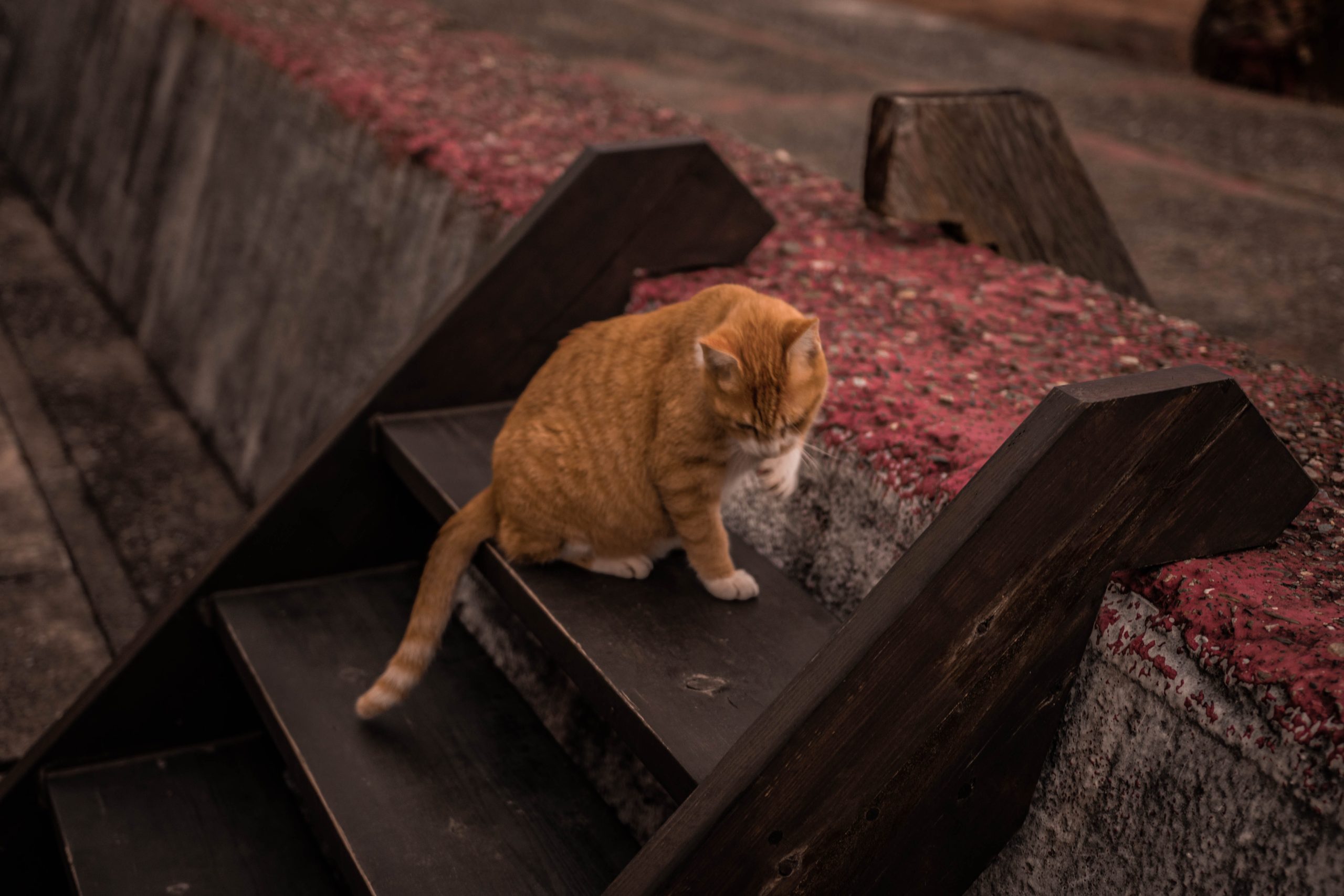 Payment Adjustment / Balance Payment Link - Japan Lumi Travel